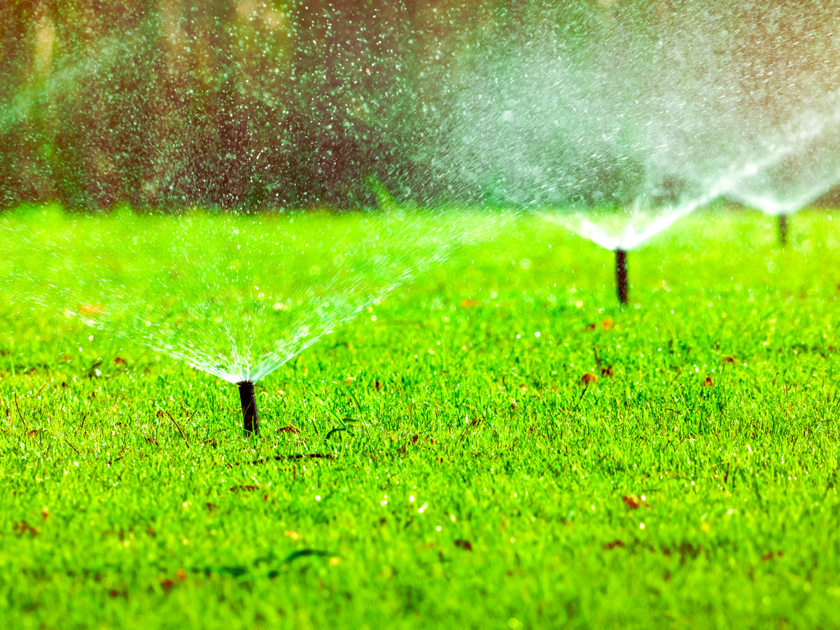 Sprinkler Heads Per Zone: Find Your Ideal Setup | Lawn Sense